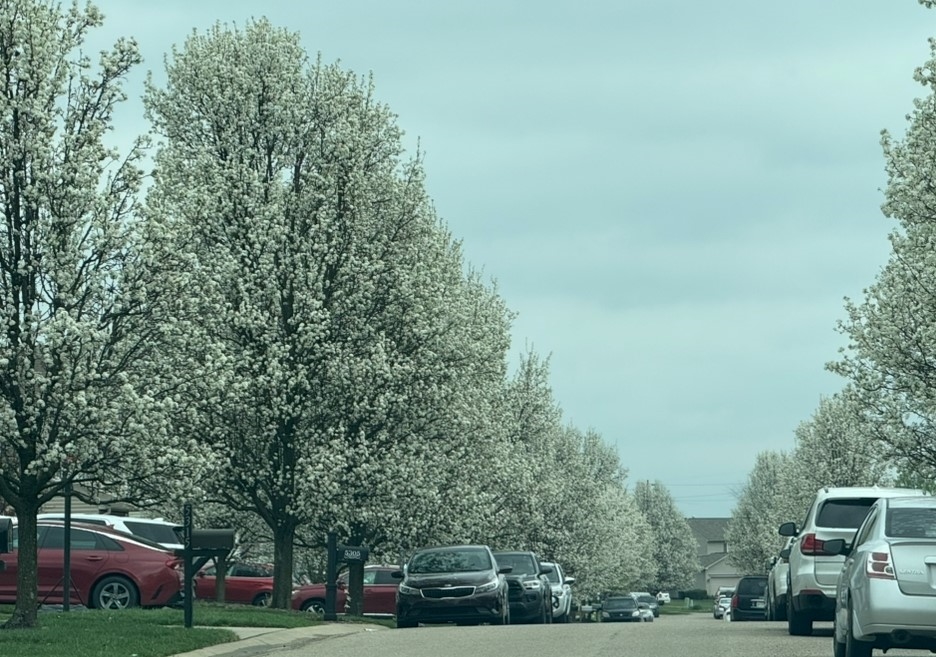 Show Schedules Archive - La Mega Columbus